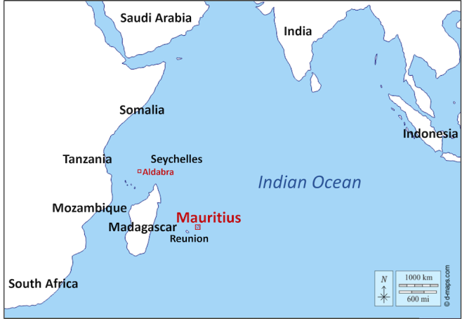 Aldabra Tortoise | Chattanooga Zoo