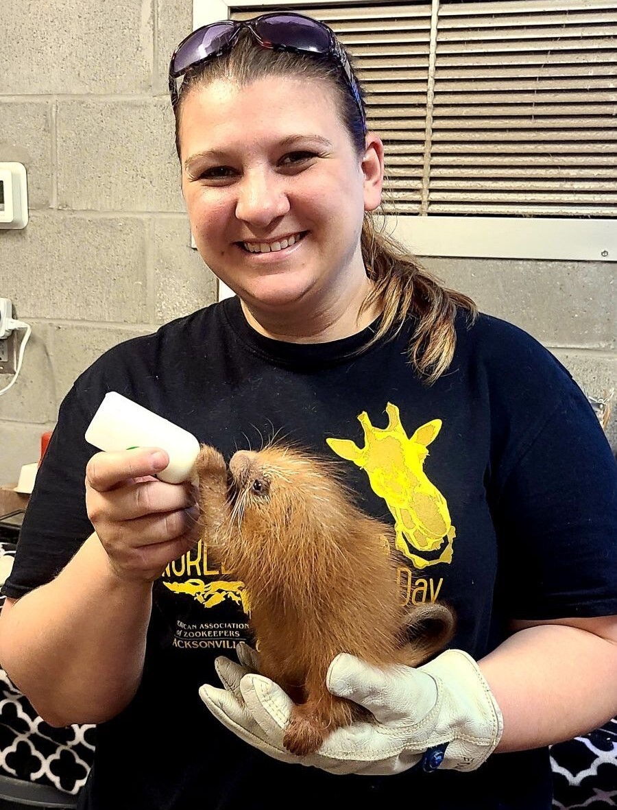 Blog | Chattanooga Zoo