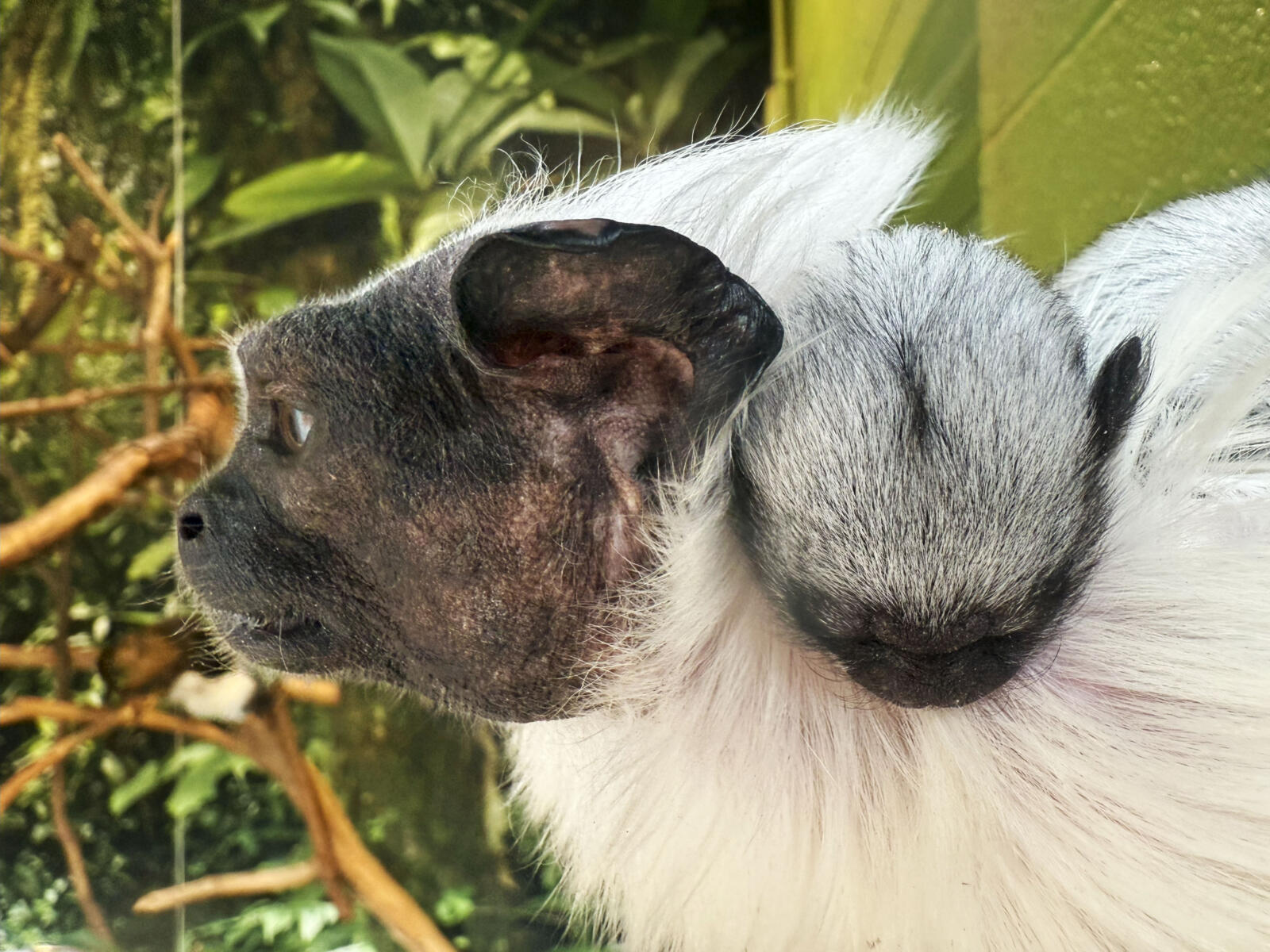 Blog | Chattanooga Zoo