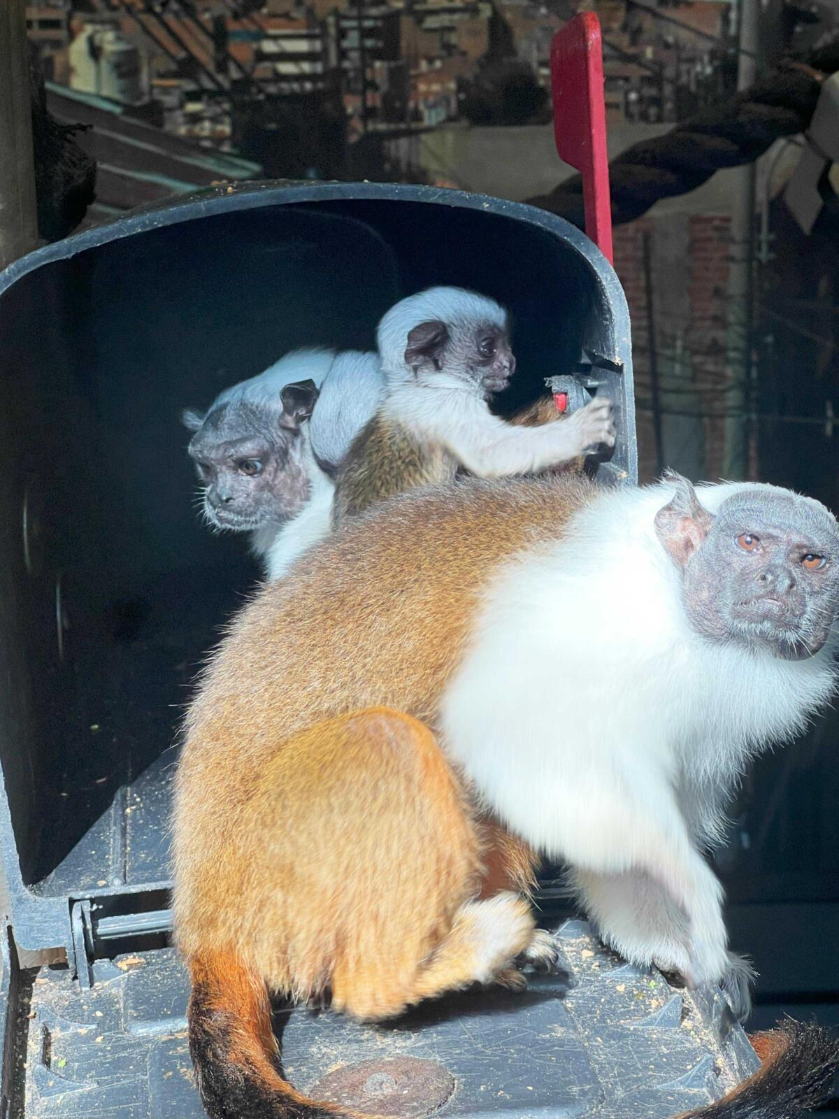 Blog | Chattanooga Zoo