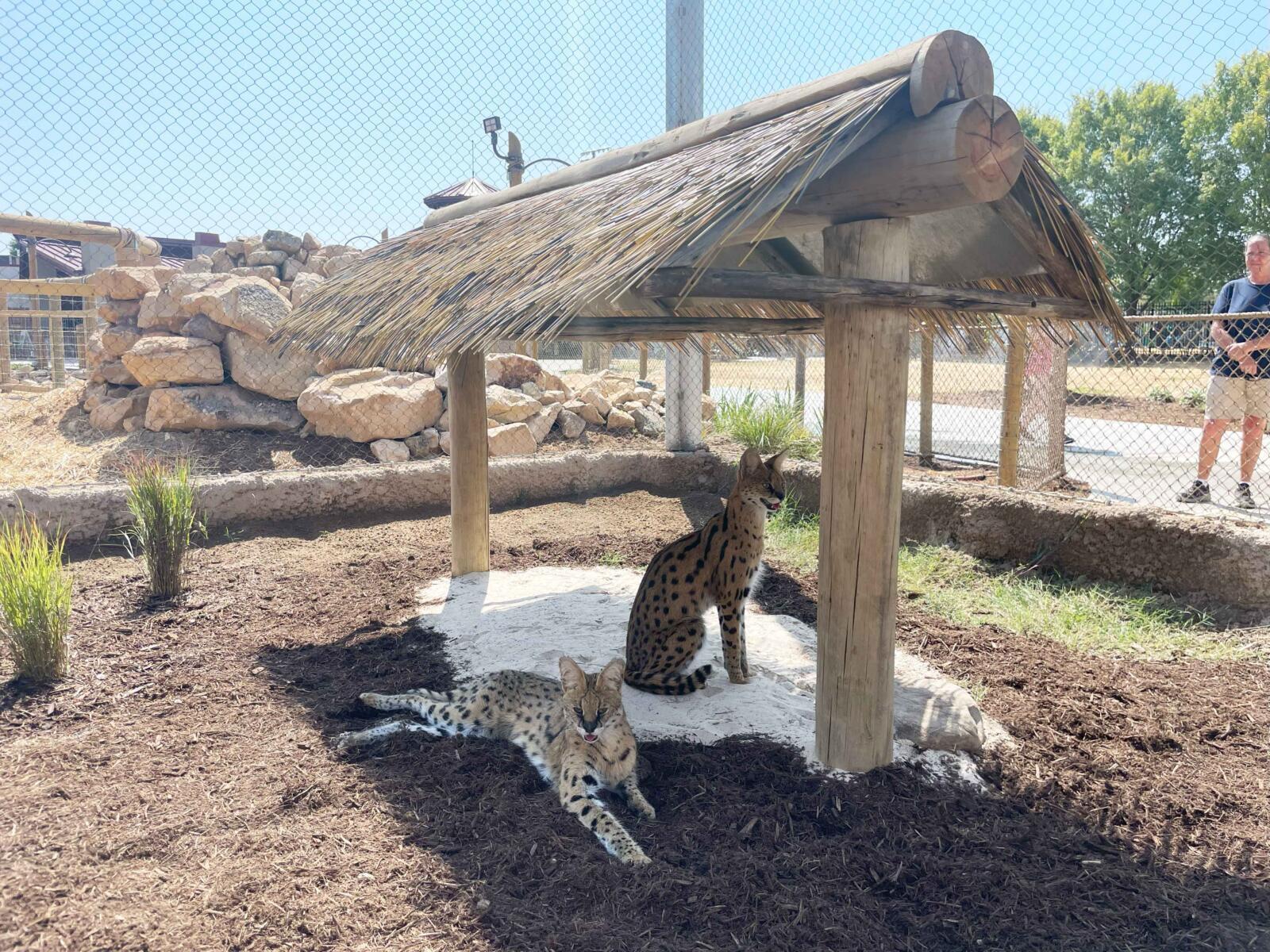 Blog | Chattanooga Zoo