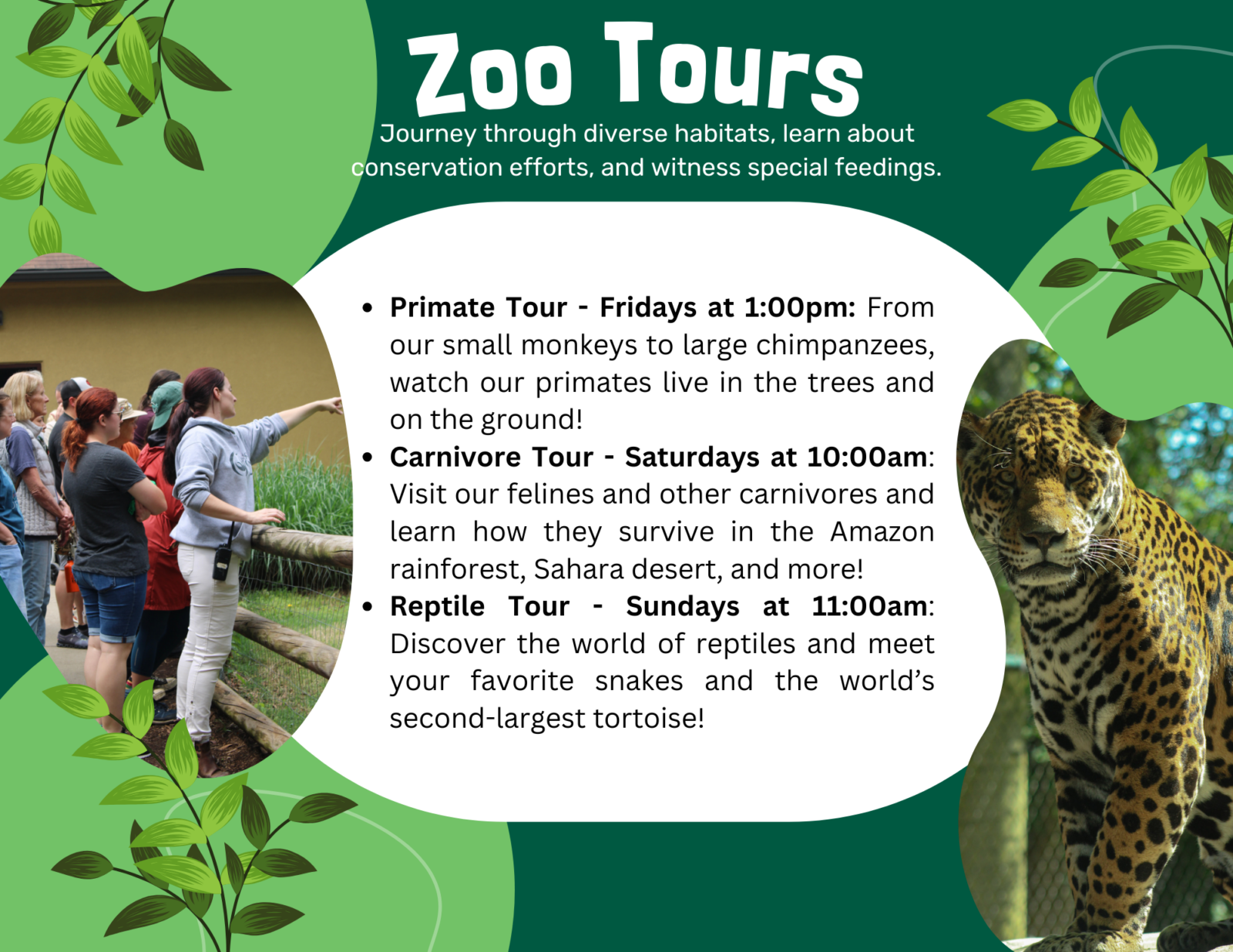 Tours & Encounters | Chattanooga Zoo