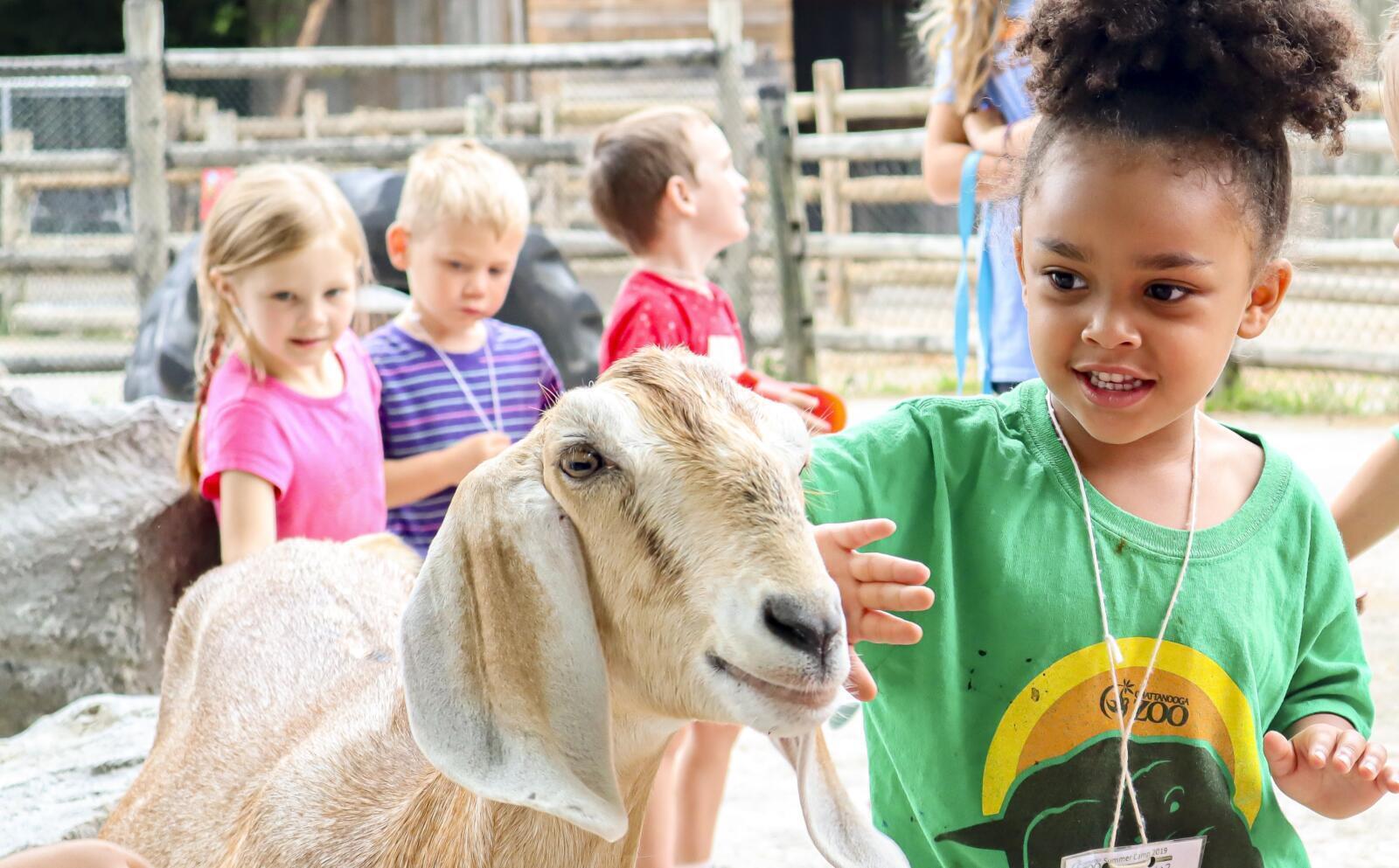 Camps | Chattanooga Zoo